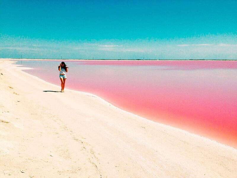 Playa del Carmen: Rio Lagartos and Las Coloradas Tour - Price and Overall Value