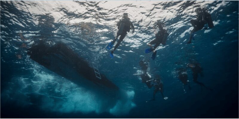 Playa del Carmen: Scuba Diver Certification Course - Why Choose This Course?