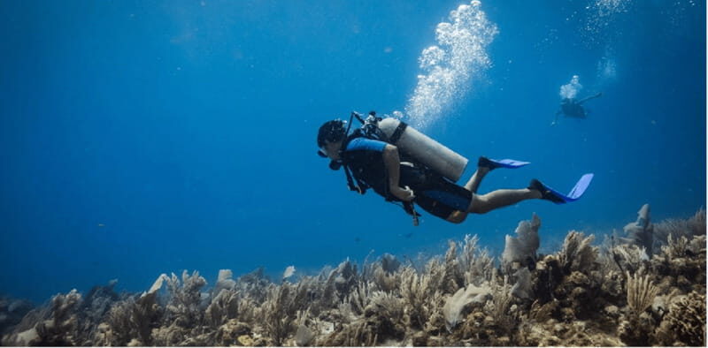 Playa del Carmen: Scuba Diver Certification Course - Who Is This Course Best For?