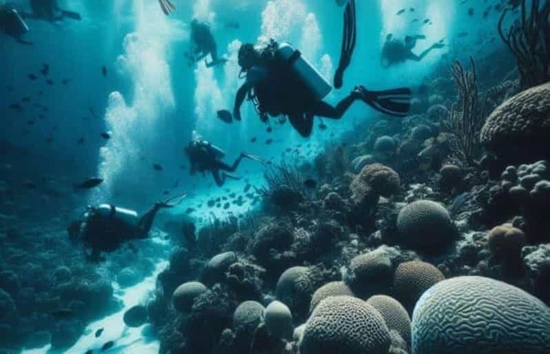 Playa del Carmen: Scuba Diving for certified divers - What to Expect from This Playa del Carmen Dive Tour