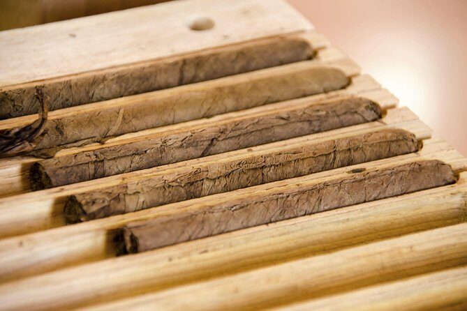 Playa del Carmen Shopping Tour Fifth Avenue and Mamitas Beach Club - Final Thoughts