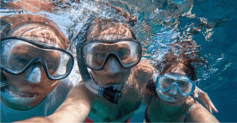 Playa del Carmen: Snorkel Tour at Local Reef - Why This Snorkel Tour Offers Good Value