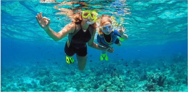 Playa del Carmen: Snorkel Tour at Local Reef - Who Should Consider This Tour