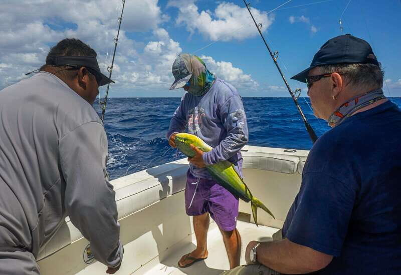 Playa del Carmen: Spectacular Fishing Experience - 38ft boat - FAQ