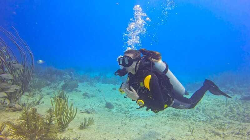 Playa del Carmen: SSI Open Water Course - Who Should Consider This Course?