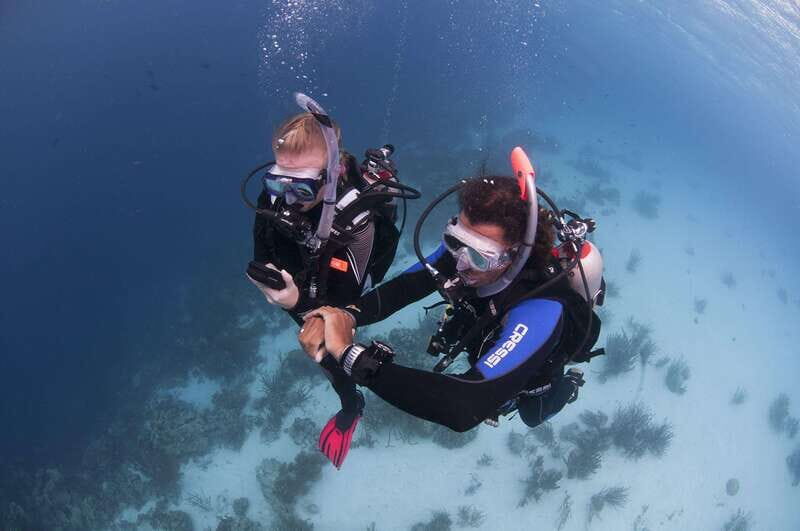 Playa del Carmen: Ultimate PADI Open Water Diver Experience - The Experience Provider: My Private Dive