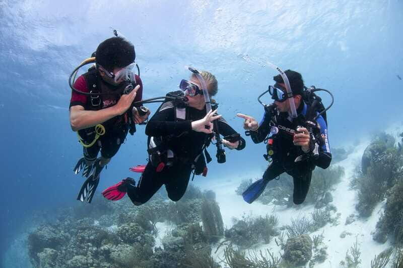 Playa del Carmen: Ultimate PADI Open Water Diver Experience - Why This Course Offers Great Value