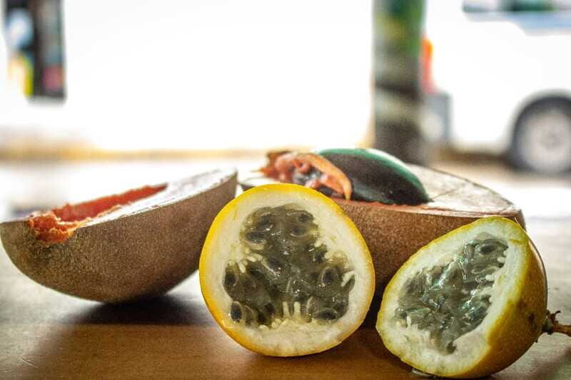 Playa del Carmen: Vegan Food Walking Tour - A Practical Overview of the Tour