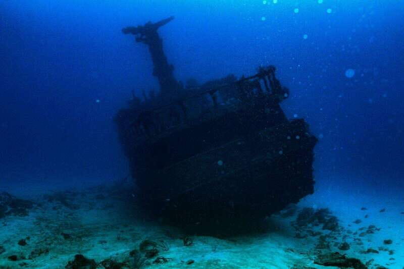 Playa del Carmen: Wreck Dive Mama Viña - Playa del Carmen: Wreck Dive Mama Viña – A Full Breakdown