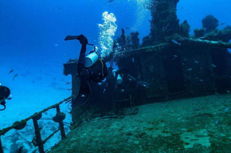 Playa del Carmen: Wreck Dive Mama Viña - The Sum Up: Who Is This Tour Perfect For?