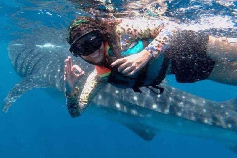 Playa del Carmen:Whale shark Experience in the Caribbean Sea - Key Points