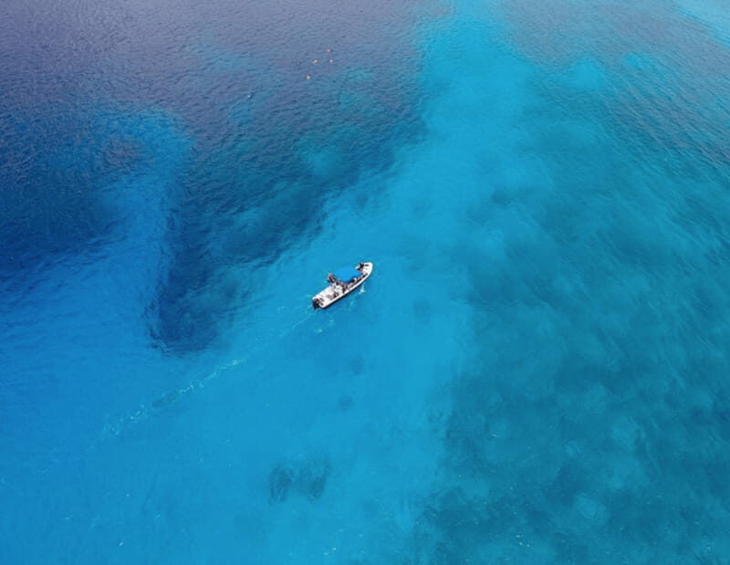 Playa: Dive in Cozumel - What to Expect from the Cozumel Dive Tour