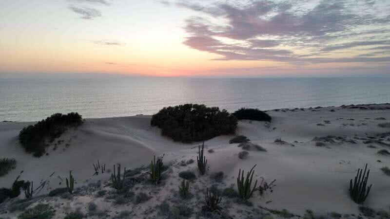 Playa el Cardonal: tour and sandboarding activity in the dunes of Sahuimaro - What’s Included & What’s Not