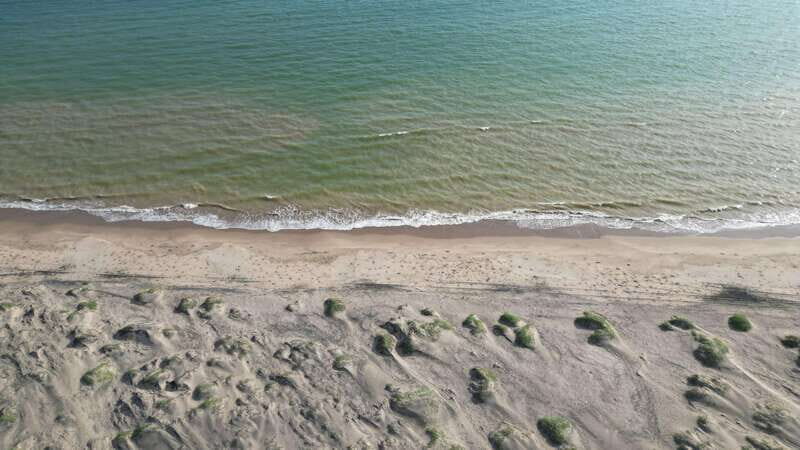 Playa el Cardonal: tour and sandboarding activity in the dunes of Sahuimaro - FAQ