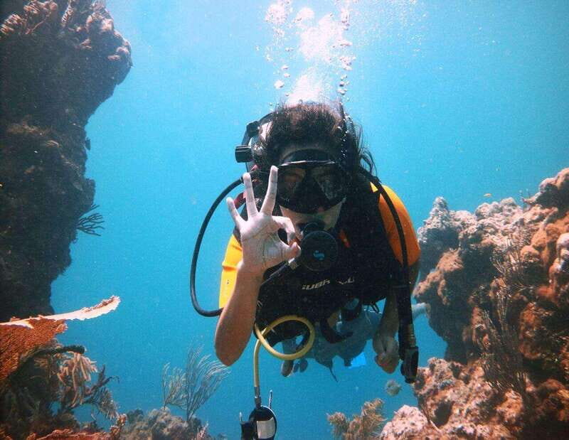 Playa: PADI Dive Master - Introduction