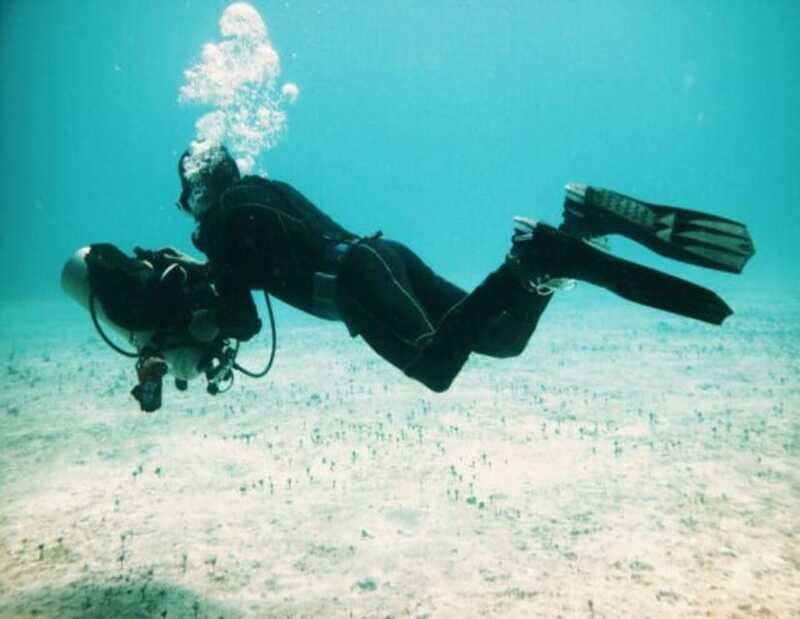 Playa: PADI Dive Master - The Experience and Environment