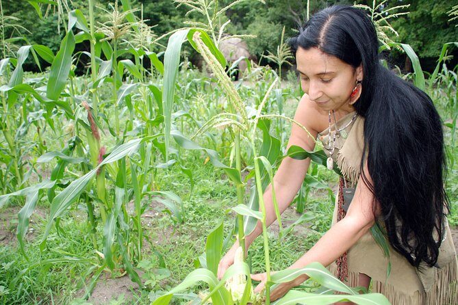 Plimoth Patuxet Museums - The Sum Up: Who Will Love This Tour?