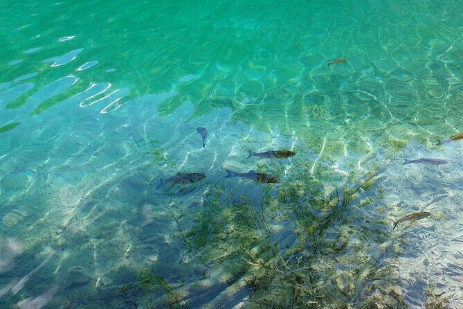 Plitvice Lakes Day Tour from Zadar, Simple and Safe - What the Reviews Reveal