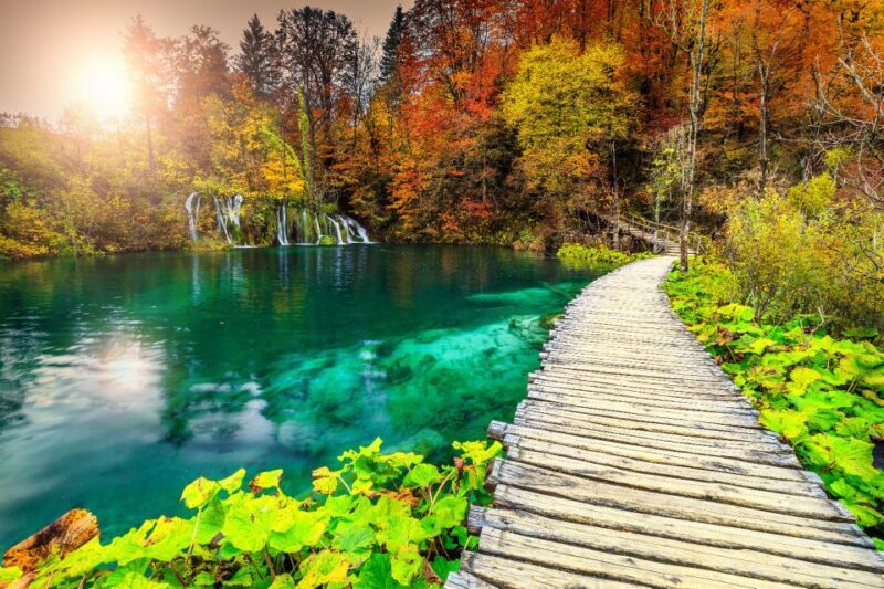 Plitvice Lakes National Park: Day Trip from Omi - Who Should Consider This Tour?