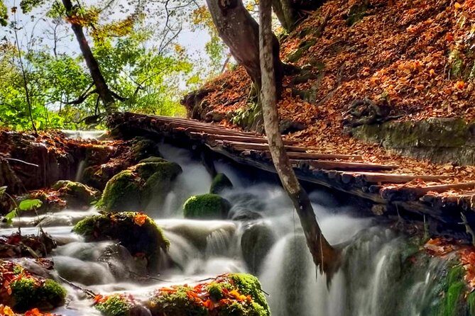 Plitvice Lakes National Park - private day-trip from Zagreb - An In-Depth Look at the Experience