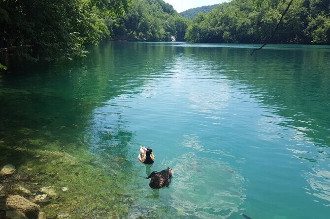 Plitvice Lakes Small Group Tour Ecco from Split or Trogir - Key Points