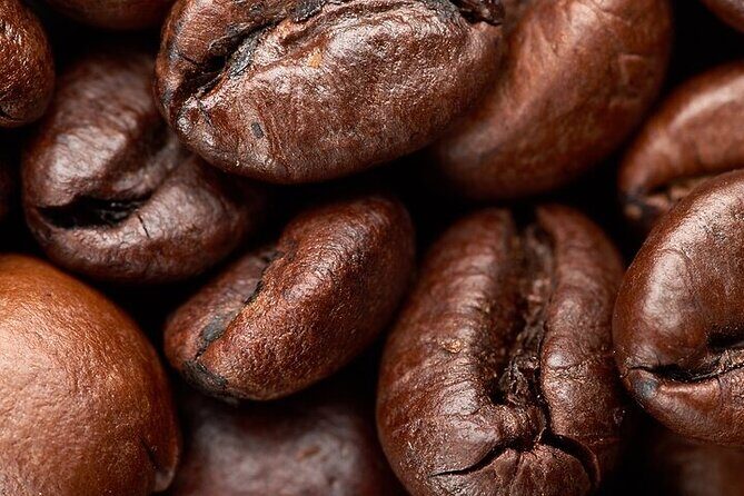 Pluma Hidalgo Coffee Experience - Who Will Love This Tour?