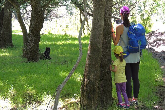 Podgorica Historic, Safari and Winery tour - Skadar lake and River Crnojevica - An In-Depth Look at the Itinerary