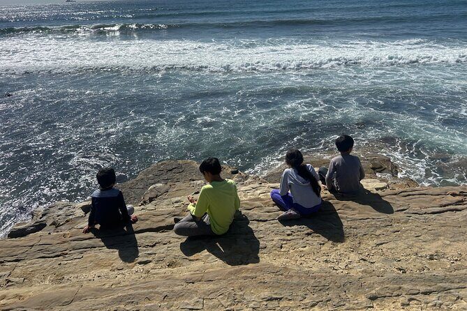 Point Loma Tide Pool Tour - The Tour Overview: What to Expect