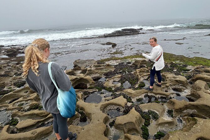 Point Loma Tide Pool Tour - What Makes This Tour Stand Out