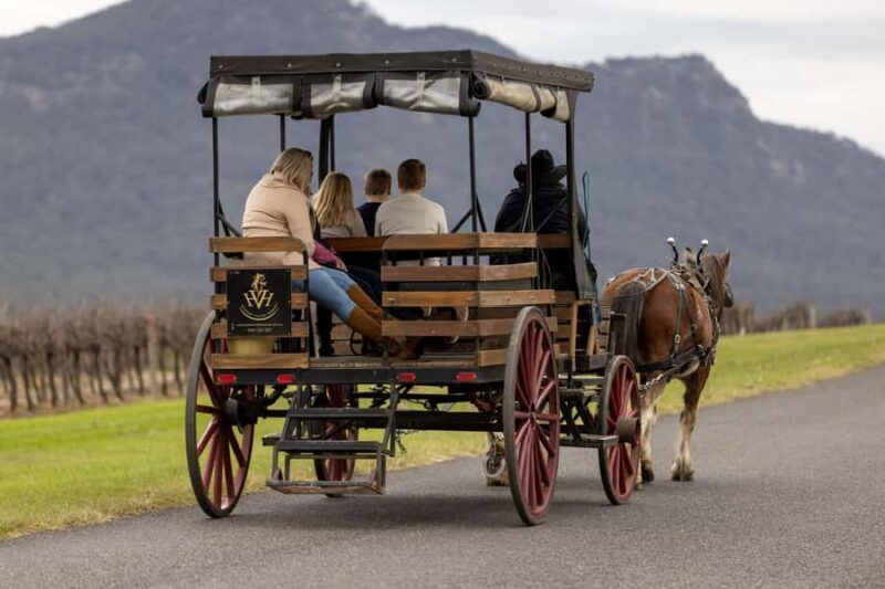 Pokolbin: Harvest the Hunter Horse Drawn Carriage Tour 3hrs - Key Points