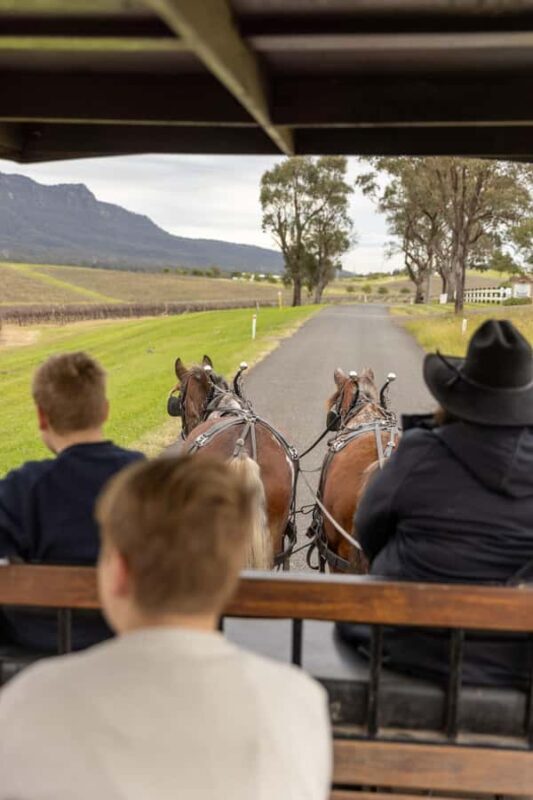 Pokolbin: Harvest the Hunter Horse Drawn Carriage Tour 3hrs - A Closer Look at the Experience
