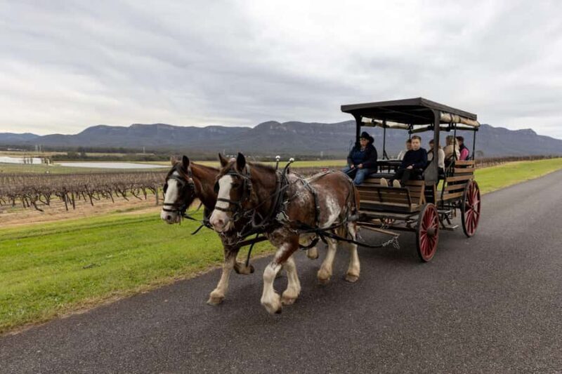 Pokolbin: Harvest the Hunter Horse Drawn Carriage Tour 3hrs - Final Thoughts: Is It Worth It?