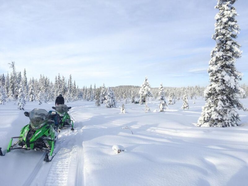 Polar Nature Tour on Snowmobile - Exploring the Polar Nature Tour on Snowmobile: An Authentic Arctic Experience