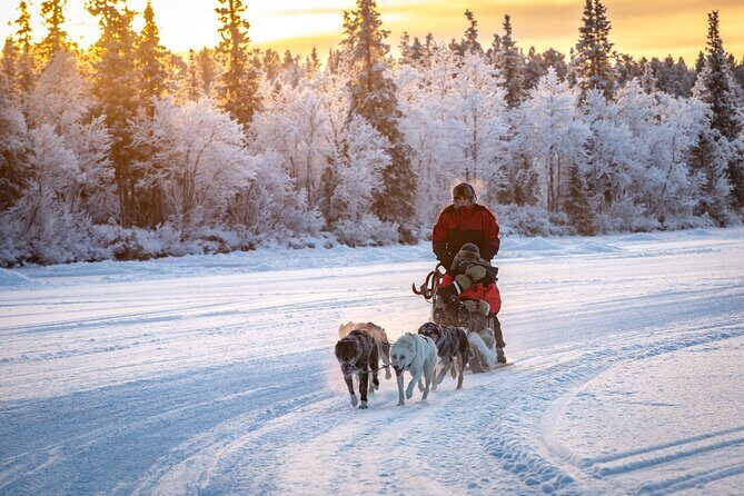 Polar Sunrise Eco Experience (10:00-13:00- driving the sled) - Key Points  