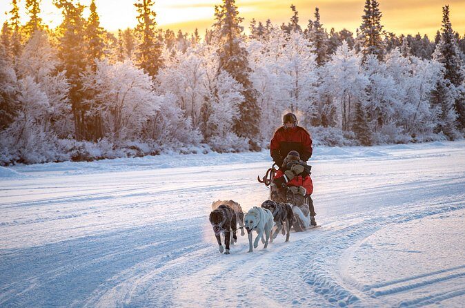 Polar Sunrise Eco Experience (10:00-13:00- driving the sled) - FAQs  