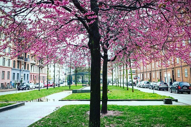 Politically Incorrect Beer Walk - FAQs