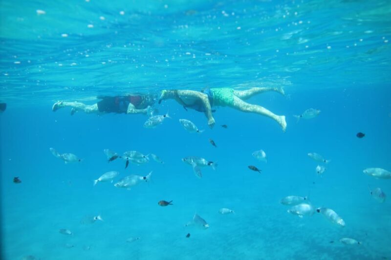 Pollença: Kayak and Coasteering Cliff Jumping - Why This Tour Offers Great Value