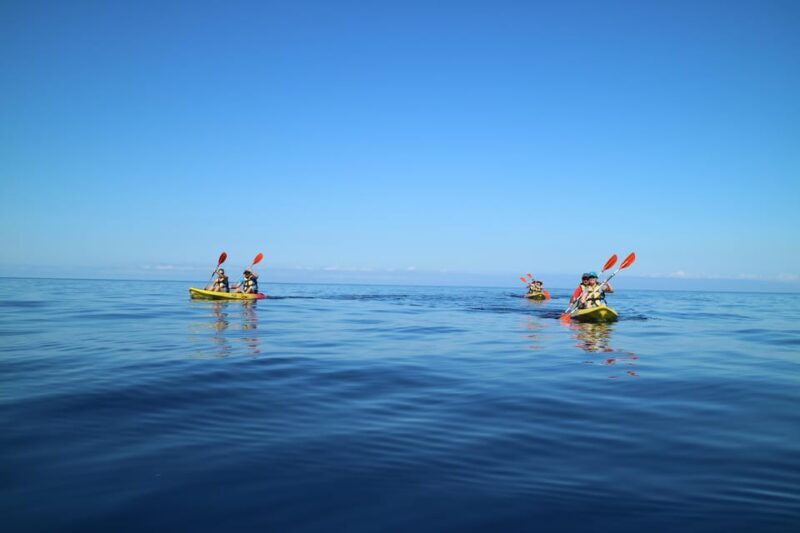 Pollença: Kayak and Coasteering Cliff Jumping - Who Will Love This Tour?
