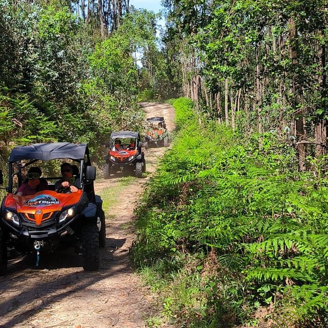 Pombal- Sicó: 60 minutes OFF-ROAD Buggy Ride - The Experience in Detail