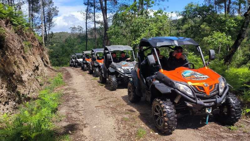 Pombal- Sicó: 60 minutes OFF-ROAD Buggy Ride - Who Should Consider This Experience?