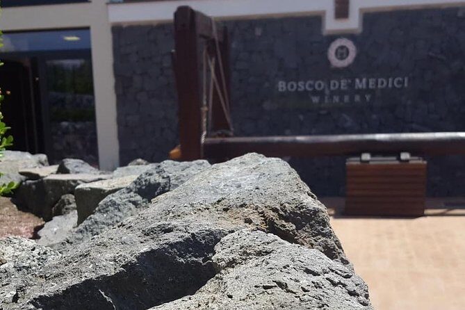 Pompei Archeological site and Wine tasting Experience - The Experience Breakdown