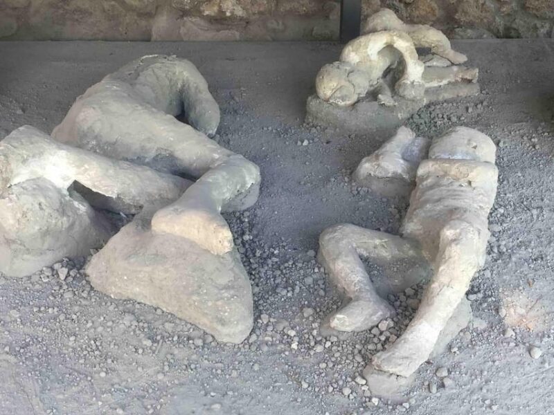 Pompeii: 2H group guided tour with a certified guide - The Realities of the Experience