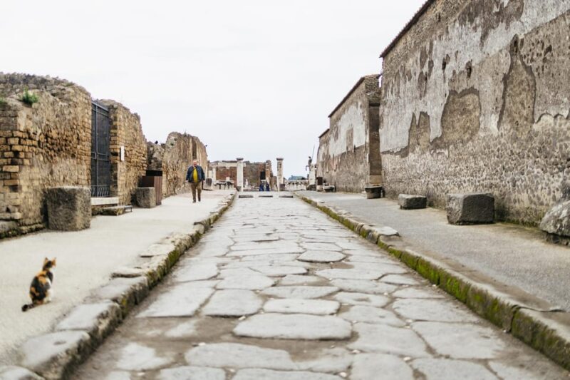 Pompeii: Afternoon to Sunset Guided Tour with Ticket - Final Thoughts: Is It Worth It?