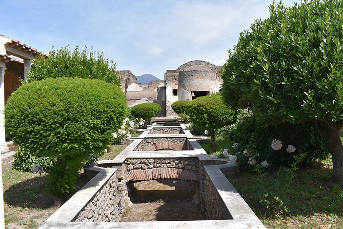 Pompeii & Amalfi Coast Tour from Naples or Sorrento - Comfort and Transportation