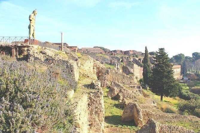 Pompeii and Herculaneum Private Tour with Native Guide and Skip the Line Tickets - FAQs