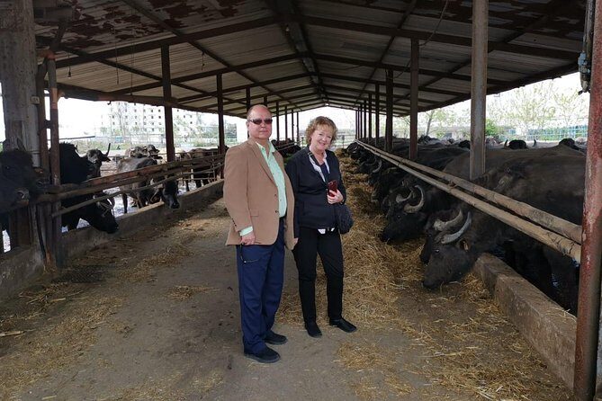 Pompeii and Herculaneum Skip-The-Line with Lunch&WineTasting from Rome - The Return Journey