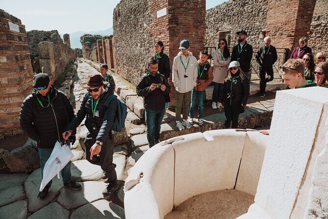 Pompeii and Herculaneum Small Group Excursion from Sorrento - Key Points