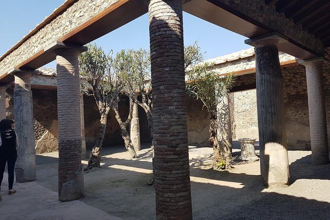 Pompeii and Naples From Rome: Private Full-Day Tour with Lunch - Who Is This Tour Best For?