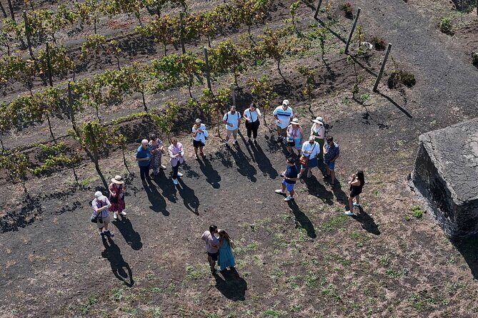 Pompeii and Naples From Rome: Private Full-Day Tour with Lunch - The Sum Up