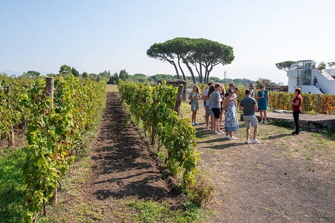 Pompeii and Naples From Rome: Private Full-Day Tour with Lunch - FAQ